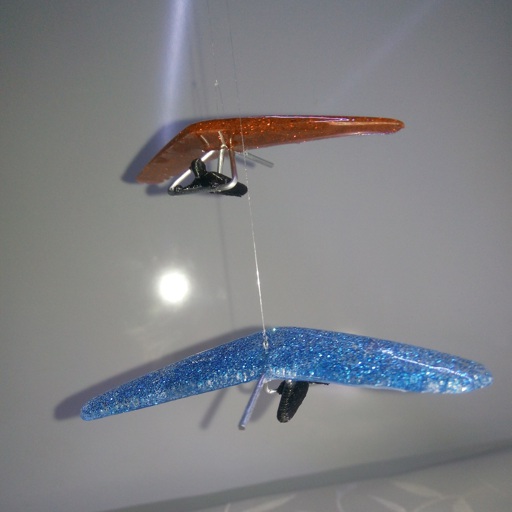 Hang glider, Hangglider, epoxy resin | Online Supermarket