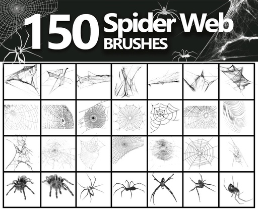 Cobweb ABR, Spider Web Brushes, Spiders Photoshop Brushes, | Online ...