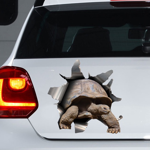 Tortoise car sticker, tortoise decal, tortoise magnet | Online Supermarket