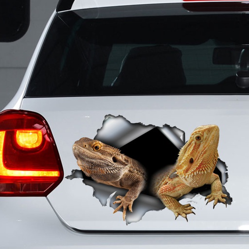 Bearded lizard car decal , beardie car | Online Supermarket
