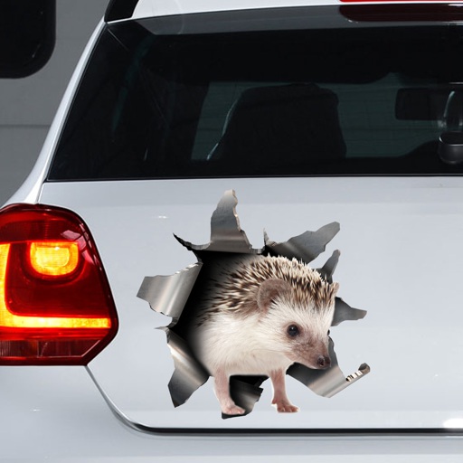 Hedgehog car sticker, hedgehog decal, hedgehog magnet | Online Supermarket