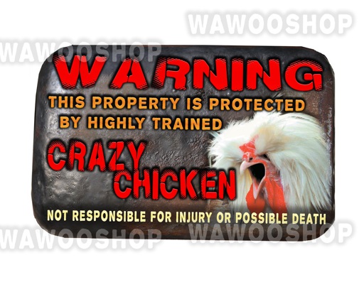 Crazy Chicken Warning DECAL / MAGNET, polish chicken | Online Supermarket