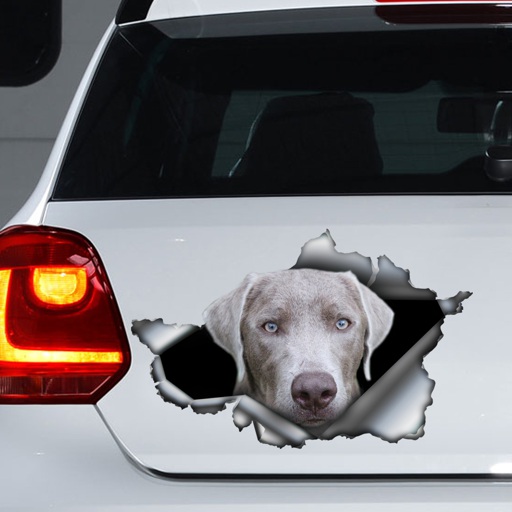 Silver Lab car decal, Grey labrador | Online Supermarket