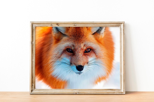 Red Fox Poster, Printable Banner, Wall Decor of | Online Supermarket