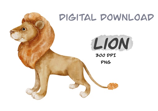 Lion watercolor clipart, Cute animal PNG, Safari print | Online Supermarket