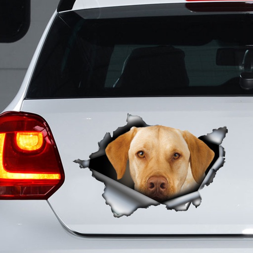 Yellow lab car decal, labrador magnet, labrador car | Online Supermarket