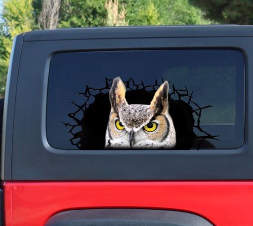 Horned Owl 3D sticker, cracked window decal , | Online Supermarket