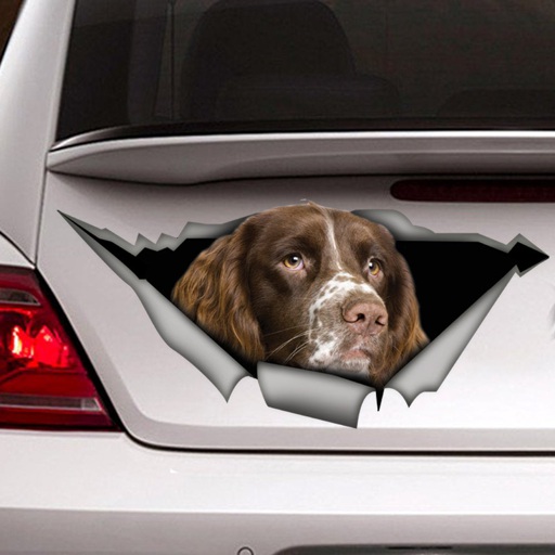 Springer Spaniel car decal, dog car | Online Supermarket