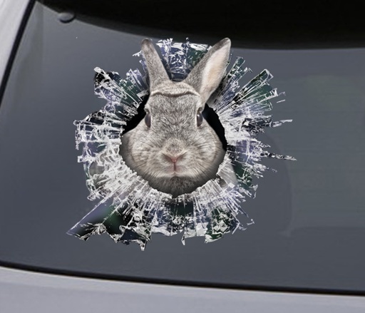 STICKER, Rabbit window sticker, car sticker, Rabbit | Online Supermarket