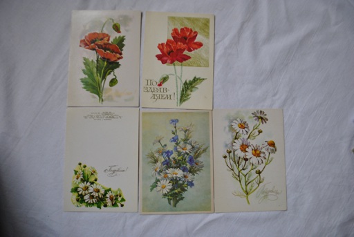Soviet Greeting postcards with flowers, botanical illustrations with ...