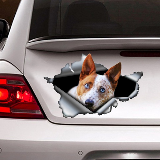 Red Heeler sticker , torn metal decal, | Online Supermarket