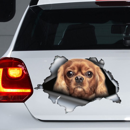 Ruby Cavalier King decal, Cavalier King magnet, Ruby | Online Supermarket