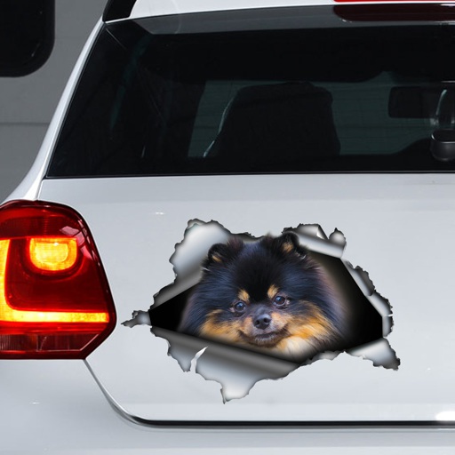 Black and brown Pom decal , Pomeranian | Online Supermarket