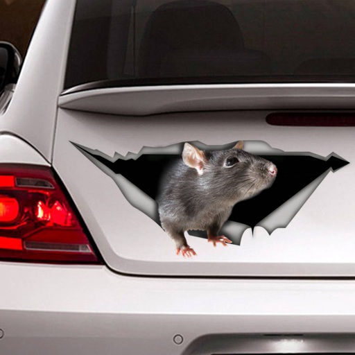 Rat decal, car decal, Vinyl decal, car | Online Supermarket